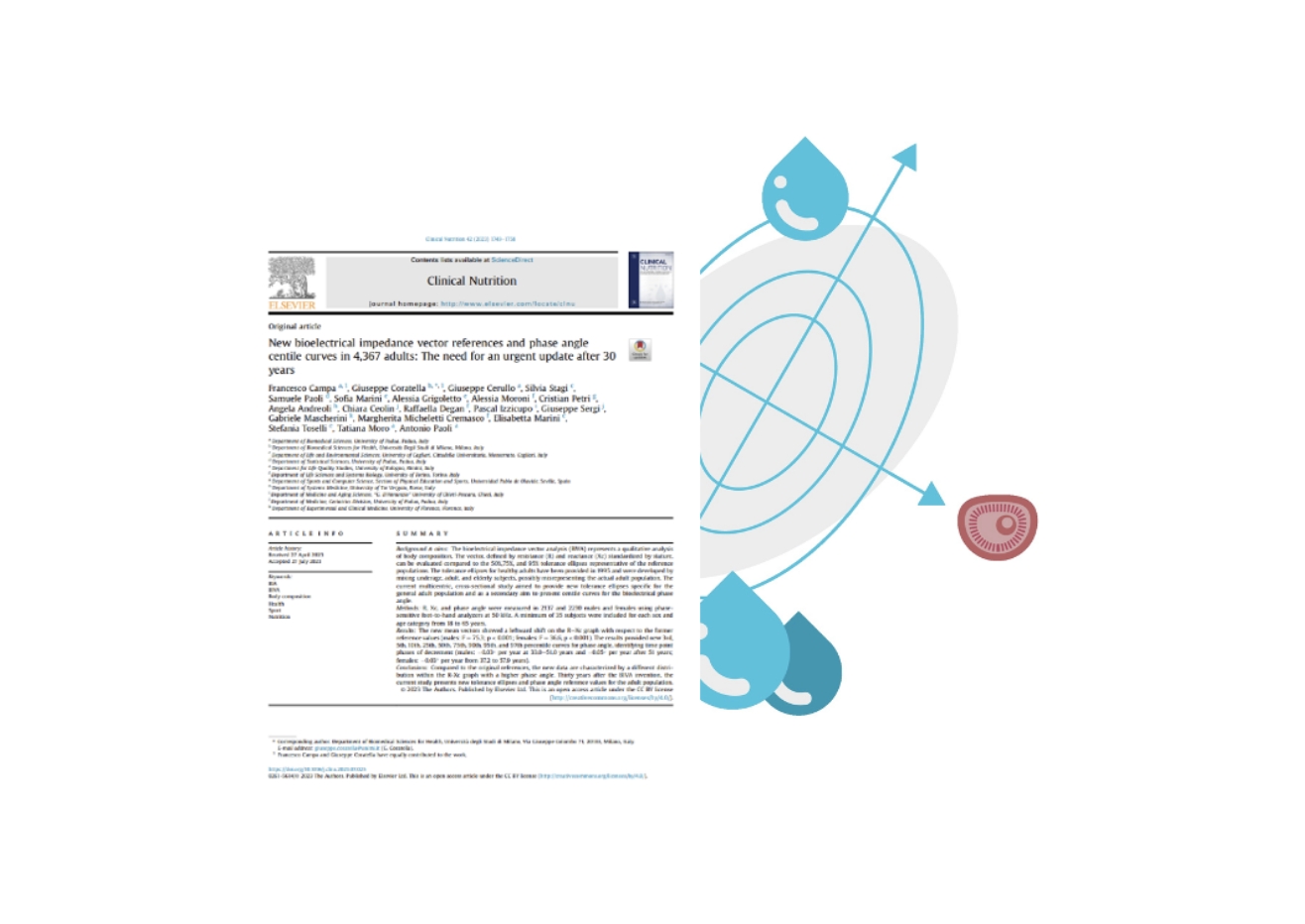 BIA Vectorial Analysis: new population references published after 30 ...